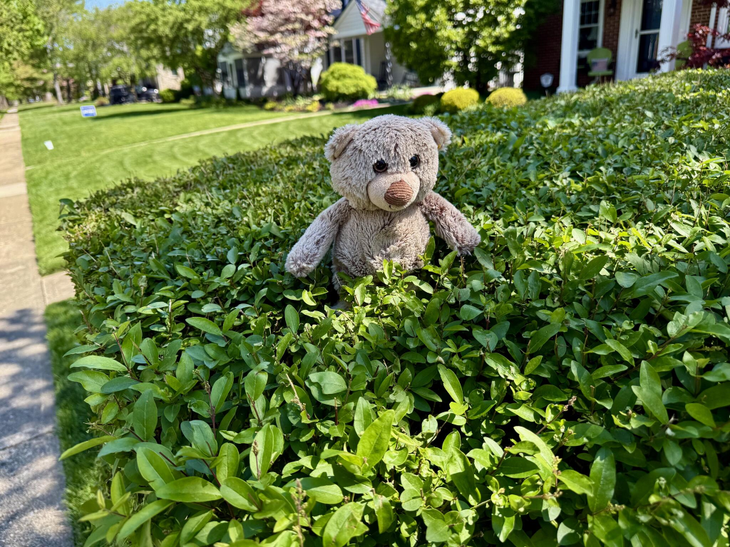 Photo of the Day – The Happy Quitter!