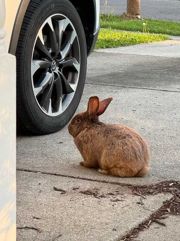 Photo of the Day – The Happy Quitter!